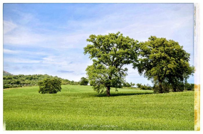 Postcard from Italy :: Tufillo, (Chieti), Abruzzo - appetibilis .net